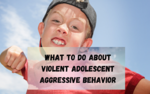 What To Do About Violent Adolescent Aggressive Behavior